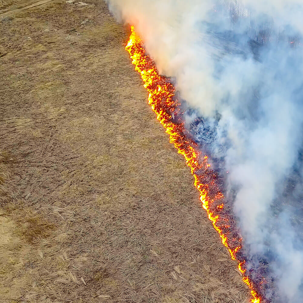 Quest | 3D Solutions